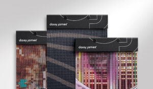 The Studio - Daisy James