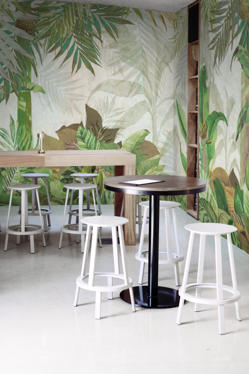 The Perigone Orange - Daisy James