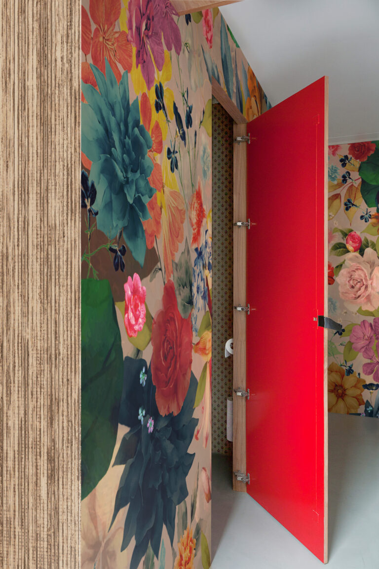 The Studio - Daisy James